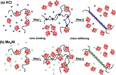 Electrostatic Complexation Of κ Cargelatin As Affected By The