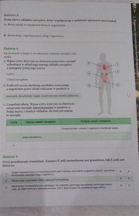 rozwiąż ćwiczenia biologia Brainly pl