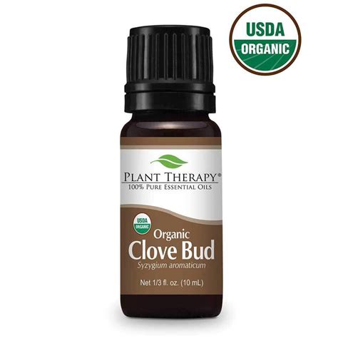 Plant Therapy Clove Bud Organic Essential Oil Goodmart