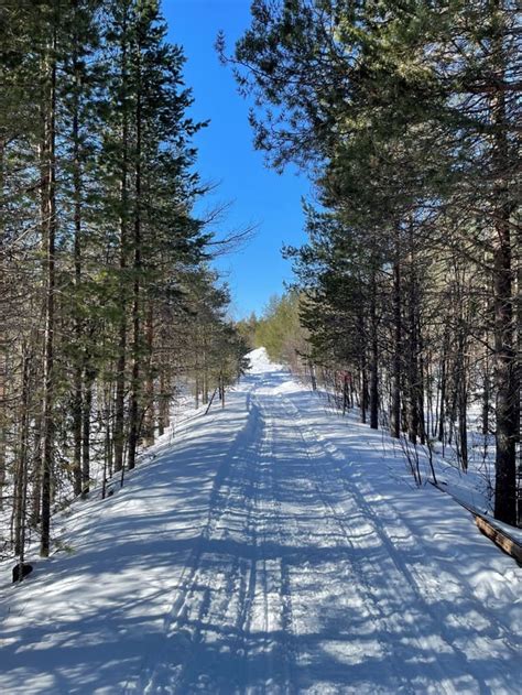 Ree Automotive Marketing Manager Ami Berger Is Working On Something