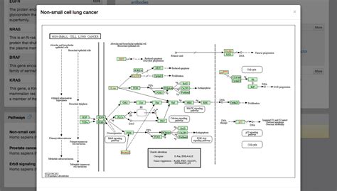 Pathway Topology Analysis • Analyze Genomes