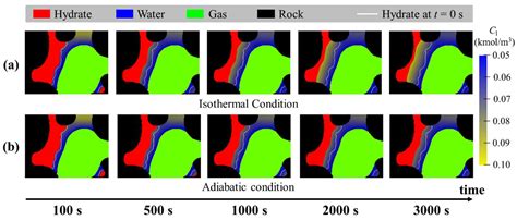 Pore Scale Modeling Of Methane Hydrate Dissociation Using A Multiphase Micro Continuum Framework