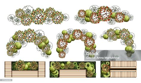 조경 설계 계획을 위한 평면도 요소입니다 건축 평면도를 위한 과일 나무와 벤치 측근 디자인 다양한 나무 관목 및 관목 벡터 일러스트 레이 션 가구에 대한 스톡 벡터 아트 및