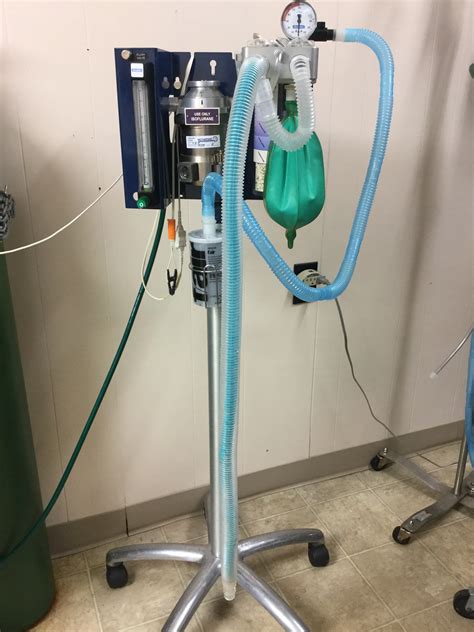 Sold 1200 Sold Surgivetvetamac Anesthesia Machine With Calibration