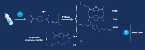Aalto Helsinki Igem 2023