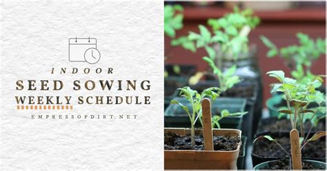 When To Start Seeds Indoors Easy Printable Sowing Plan Artofit