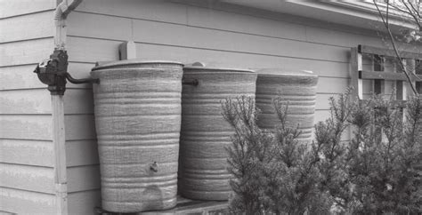 Managing And Capturing Rainwater In The Landscape