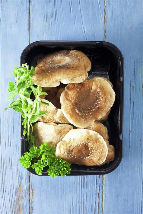 Shiitake Mushrooms With Herbs In A Plastic Tub Photograph By Barbara Pheby Fine Art America