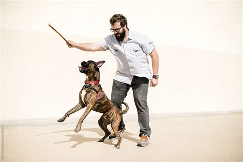 Best Friend By Stocksy Contributor Jose Coello Stocksy