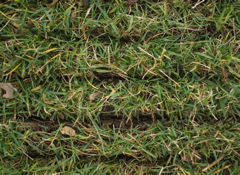What Is A Slit Seeder