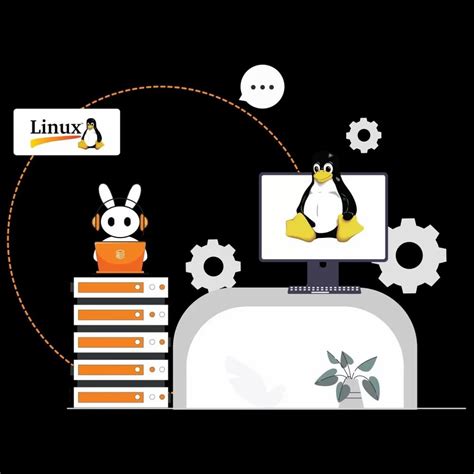 linux plesk server management service at ₹ 1700 month in nashik id