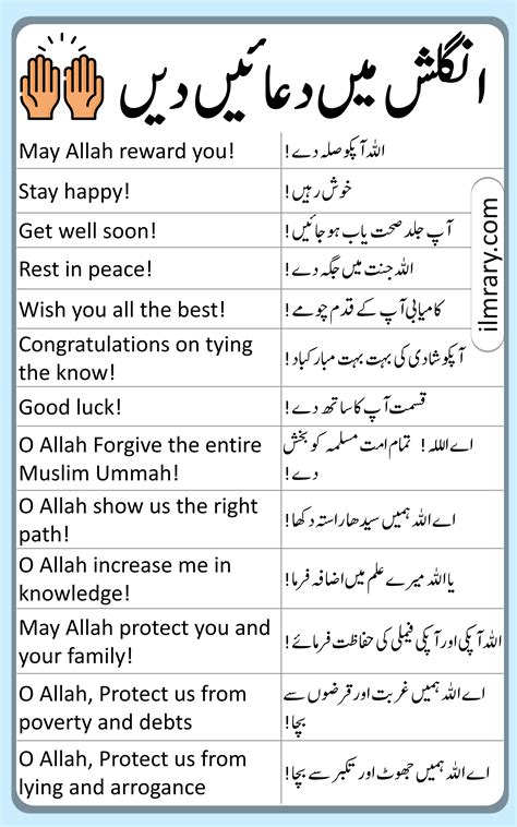 29 Best English Sentences With Urdu Translation Used In Daily Life