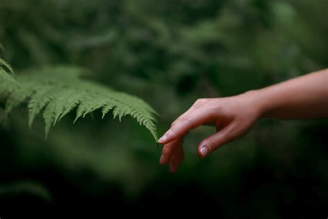 Surprising Facts About Fingerprints And Why We Even Have Them