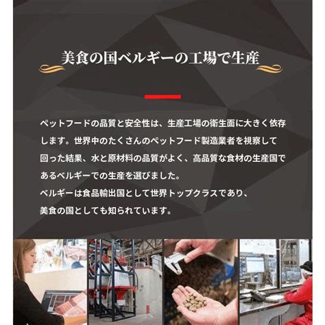 【送料無料￥1000】ブラバンソンヌ 猫用 キャットフード 300gセット 小粒 ローグレイン 消化器ケア C1000wepet