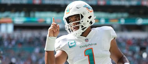 Miami Dolphins Roster 2024