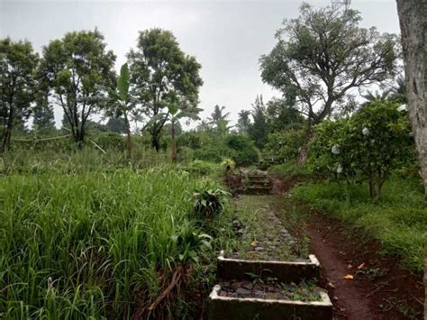 DIJUAL TANAH KEBUN DI CARINGIN BOGOR LUAS DAN COCOK UNTUK INVESTASI