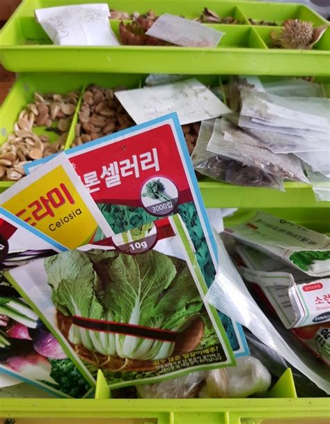 씨앗심기 씨앗파종 준비 텃밭작물 파종시기 네이버 블로그