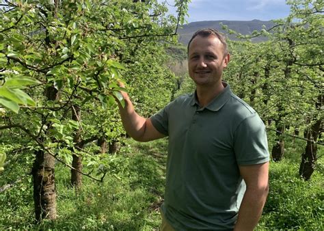 Meat Classification An Essential Guide For Livestock Farmers Food