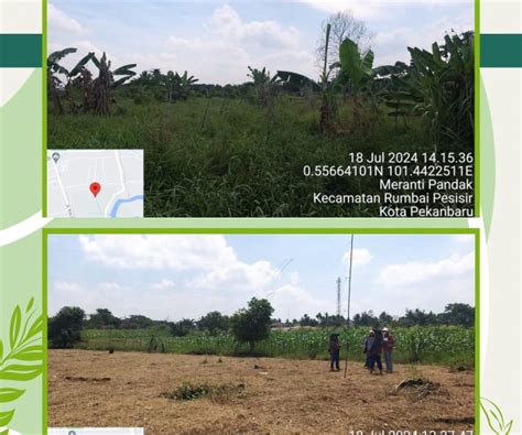 Idenfikasi Cpcl Program Penambahan Areal Tanaman Pat Padi Gogo Sipuanpenaripekanbarugoid