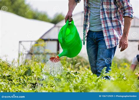Farmer Watering Plants On Farm Using Green Watering Can Stock Image