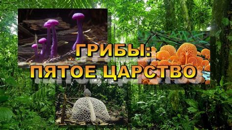 Неделя российской науки в школе при Посольстве России во Вьетнаме Youtube