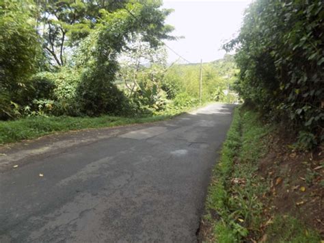 Land For Sale In Grenada Eden Solutions Real Estate