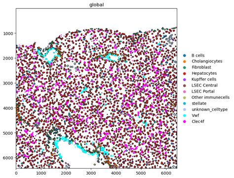 Intro To Spatialdata — Spatialdata