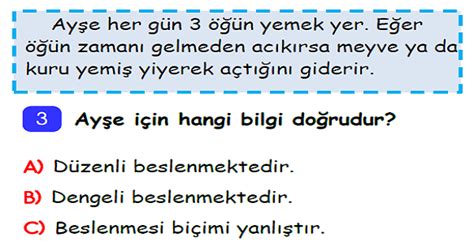 Sınıf Hayat Bilgisi Sağlıklı Hayat Ünite Değerlendirmesi Meb Ders