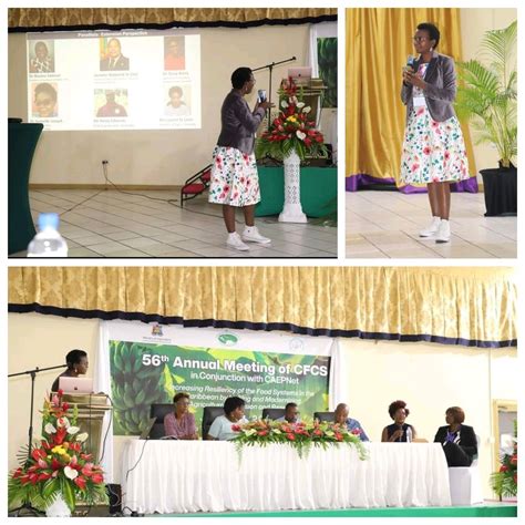 Dr Hlami Ngwenya On Linkedin Caepnet