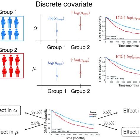 Effect Of A Categorical Covariate A Scheme Of Model Simulation With Download Scientific