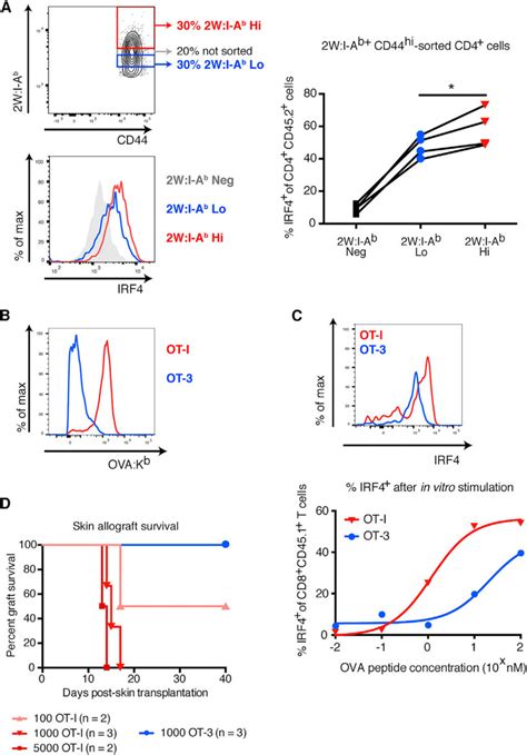 Tetramer Binding Correlates With T Cell Functional Avidity And Capacity Download Scientific