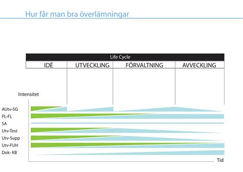 Life Cycle Soa Presentation PDF