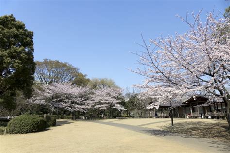 のんびりお散歩が楽しめる！東京のおすすめ散歩スポット22選の写真