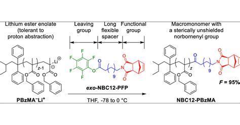 End Capping Reaction Of Living Anionic Polybenzyl Methacrylate With A