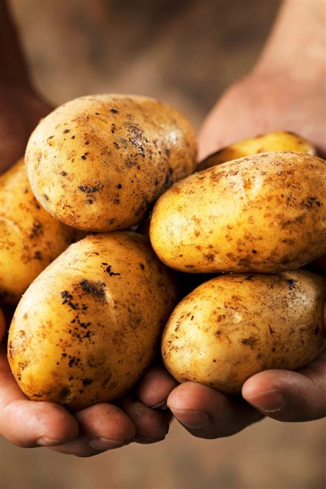 How To Mash Potatoes Without A Masher 9 Genius Hacks No Fuss Kitchen