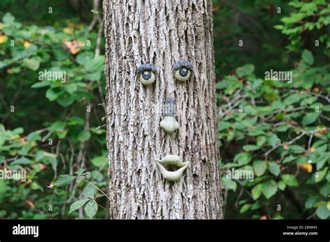 Facial Features Attached To Tree Trunk To Appear Like A Human Face Stock Photo Alamy