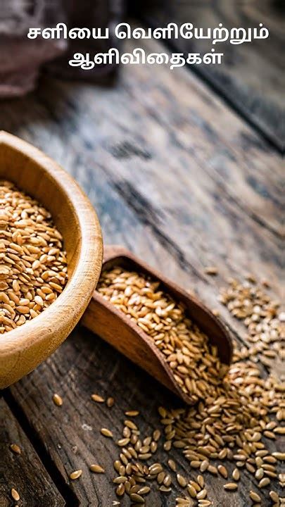 சளியை வெளியேற்றும் ஆளிவிதைகள் Shorts Health Flaxseeds Tamil Food
