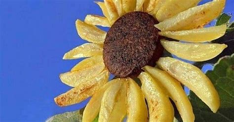 Take Time To Stop And Smell The Flowers Album On Imgur