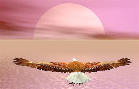 Fosfenos Presentación