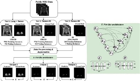 Lung Tumor Segmentation In Mri Mice Scans Using D Nnu Net With Minimum