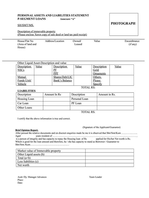 Statement Of Assets And Liabilities Template Fill Out And Sign Online