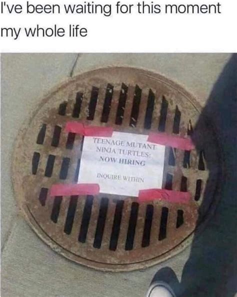 Experience The Teenage Mutant Ninja Hiring Hottest Turtle Meme In