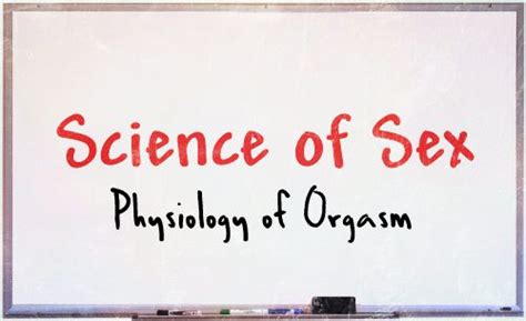 Science Of Sex Physiology Of Orgasm Of Sex And Love