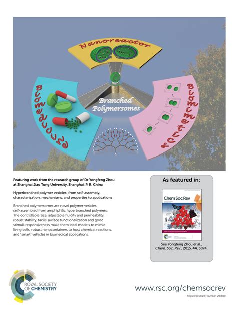 Pdf Hyperbranched Polymer Vesicles From Self Assembly