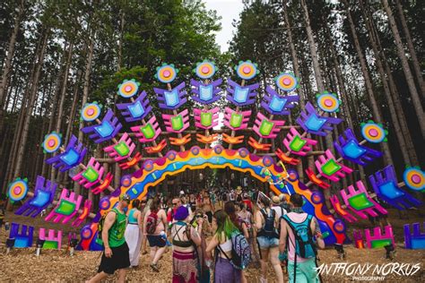Electric Forest Revisited The Top 10 Best Things About 2019 Local Spins
