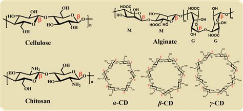 Chemical Structures Of Cellulose Alginate Partial Chemical Structure
