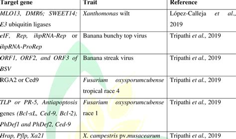 Genes Available For Genome Editing Of Banana For Disease Resistance Download Scientific Diagram