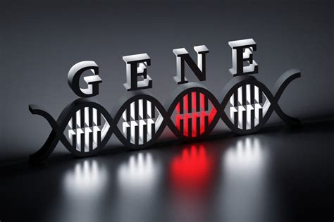 Te Imaginas Conservar El ADN De Cada Pareja Sexual