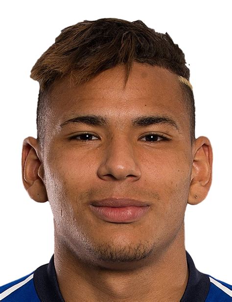 胡安·何塞·佩雷亚佩雷亚juan José Perea【德甲球员百科】 球迷屋