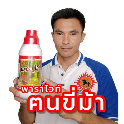 ภูมิ พาราไวท์ ร้านค้าทางการในประเทศไทย ช้อปสะดวกปลอดภัย ที่ Lazada ตลอด